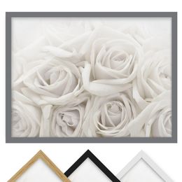 Bilderwelten Bild mit Rahmen - Querformat Wei&szlig;e Rosen