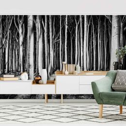 Bilderwelten Fototapete Wald Motiv Wandtapete schwarz weiss - Geisterwald - B&auml;ume Wohnzimmer Schlafzimmer
