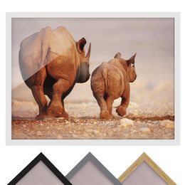 Bilderwelten Bild mit Rahmen Tiere einzigartig Abstrakt inkl. Rahmung - Wandering Rhinos - Deko Wohnzimmer Schlafzimmer
