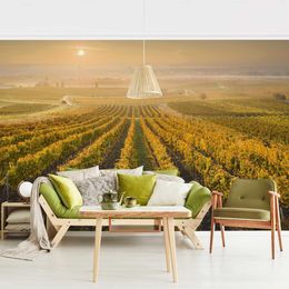 Bilderwelten Fototapete Natur Motiv Wandtapete gelb - Herbstliche Weinberge bei Wien - Landschaft Wohnzimmer Schlafzimmer
