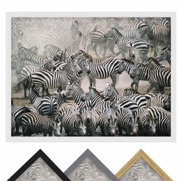 Bilderwelten Bild mit Rahmen Tiere schwarz weiss Abstrakt inkl. Rahmung - Zebraherde - Deko Wohnzimmer Schlafzimmer