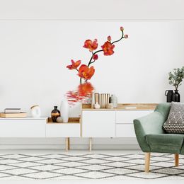 Bilderwelten Fototapete Blumen modern Wandtapete einzigartig - Flamy Orchid Waters - Orchidee Wohnzimmer Schlafzimmer
