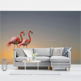 Bilderwelten Fototapete Tiere Motiv Wandtapete orange - Flamingo Love - V&ouml;gel Wohnzimmer Schlafzimmer