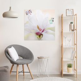 Bilderwelten Glasbild Blumen Motiv beige Glas Wandbild - Zarte Magnolienbl&uuml;te - Deko Wohnzimmer Schlafzimmer