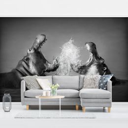 Bilderwelten Fototapete Tiere modern Wandtapete schwarz weiss - Hippo Fight - Deko Wohnzimmer Schlafzimmer