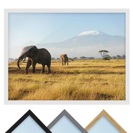 Bilderwelten Bild mit Rahmen Natur einzigartig Abstrakt inkl. Rahmung - Elefanten vor dem Kilimanjaro in Kenia - Landschaft Wohnzimmer Schlafzimmer