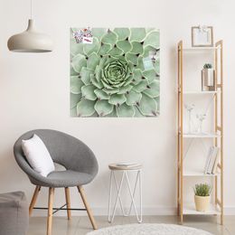Bilderwelten Glasbild Blumen Tropisch gr&uuml;n Glas Wandbild - Steinrose Jovibarba Hirta - Deko Wohnzimmer Schlafzimmer