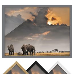 Bilderwelten Bild mit Rahmen - Querformat Elefanten der Savanne