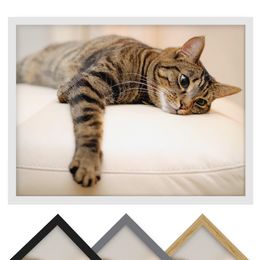 Bilderwelten Bild mit Rahmen Tiere einzigartig Abstrakt inkl. Rahmung - Cat Chill Out - Deko Wohnzimmer Schlafzimmer