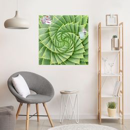 Bilderwelten Glasbild Blumen Tropisch gr&uuml;n Glas Wandbild - Spiral Aloe - Deko Wohnzimmer Schlafzimmer