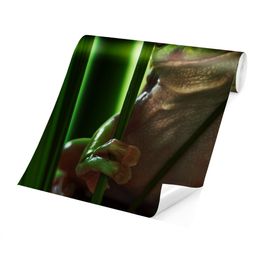 Bilderwelten Fototapete Textiltapete Stofftapete - nahtlose Tapete | K&uuml;nstlerische Flora I