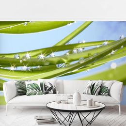 Bilderwelten Fototapete Blumen Tropisch Wandtapete einzigartig - Fresh Green - Gr&auml;ser Wohnzimmer Schlafzimmer
