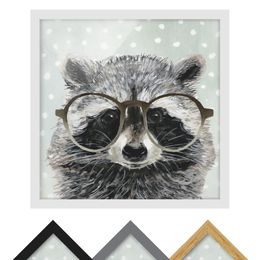 Bilderwelten Bild mit Rahmen - Quadrat Bebrillte Tiere - Waschb&auml;r