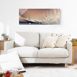 Bilderwelten Glasbild - Story of a Waterdrop Wassertropfen Makroaufnahme Feder Panorama Wandbilder aus Glas mit Aufh&auml;ngung Wohnzimmer,Schlafzimmer