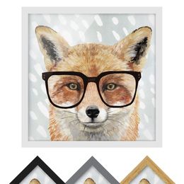 Bilderwelten Bild mit Rahmen - Quadrat Bebrillte Tiere - Fuchs