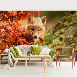 Bilderwelten Fototapete Fuchs im Herbst