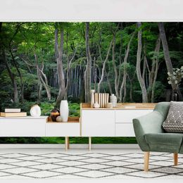 Bilderwelten Fototapete Wald Motiv Wandtapete gr&uuml;n - Japanischer Wald - B&auml;ume Wohnzimmer Schlafzimmer