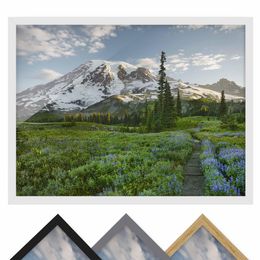 Bilderwelten Bild mit Rahmen Blumen gr&uuml;n Landhaus inkl. Rahmung - Bergblick Wiesenpfad - Blumenwiese Wohnzimmer Schlafzimmer