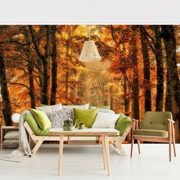 Bilderwelten Fototapete Wald Motiv Wandtapete orange - M&auml;rchenwald im Herbst - B&auml;ume Wohnzimmer Schlafzimmer