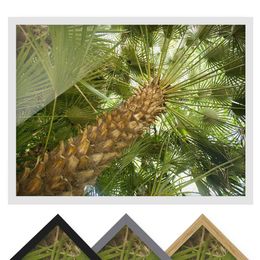 Bilderwelten Bild mit Rahmen - Querformat Tropical Island