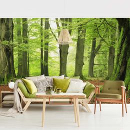 Bilderwelten Fototapete Mighty Beech Trees