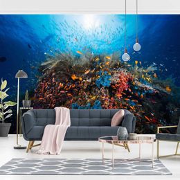 Bilderwelten Fototapete Tiere Motiv Wandtapete blau - Lagune Unterwasser - Unterwasser Wohnzimmer Schlafzimmer