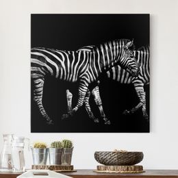 Bilderwelten Leinwandbild Tiere Motiv Kunstdruck schwarz weiss - Zebra vor Schwarz - Zebra XXL Wohnzimmer Schlafzimmer