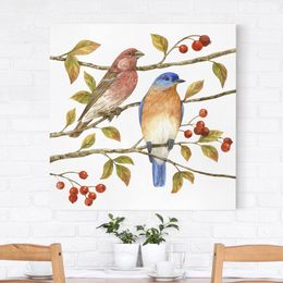 Bilderwelten Leinwandbild - Quadrat V&ouml;gel und Beeren - H&uuml;ttens&auml;nger