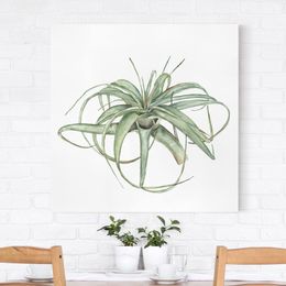 Bilderwelten Leinwandbild Blumen Tropisch Aquarell Leinwanddruck - Luftpflanze Aquarell I - Pflanzen XXL Wohnzimmer Schlafzimmer