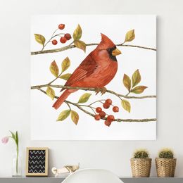 Bilderwelten Leinwandbild - Quadrat V&ouml;gel und Beeren - Rotkardinal