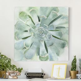 Bilderwelten Leinwandbild - Quadrat Sukkulente Aquarell Hell