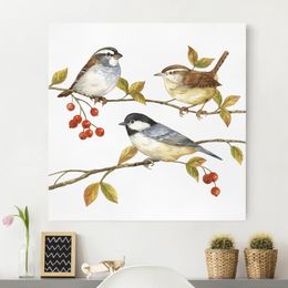 Bilderwelten Leinwandbild - Quadrat V&ouml;gel und Beeren - Meisen