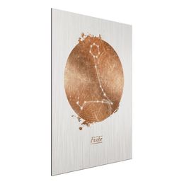 Bilderwelten Alu-Dibond Outdoor Bild Sternzeichen Fische Gold