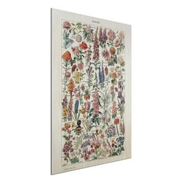 Bilderwelten Alu-Dibond Outdoor Bild Vintage Lehrtafel Blumen V