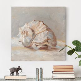 Bilderwelten Leinwandbild Tiere modern Kunstdruck beige - Muschel-Studie II - Wandbild XXL Wohnzimmer Schlafzimmer