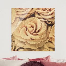 Bilderwelten Glasbild Blumen Landhaus beige Glas Wandbild - Rosen Sepia mit Wassertropfen - Rose Wohnzimmer Schlafzimmer