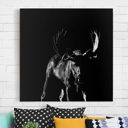 Bilderwelten Leinwandbild Tiere modern Kunstdruck schwarz - Bulle vor Schwarz - Wandbild XXL Wohnzimmer Schlafzimmer
