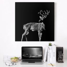 Bilderwelten Leinwandbild Tiere Motiv Kunstdruck schwarz weiss - Hirsch vor Schwarz - Hirsch XXL Wohnzimmer Schlafzimmer