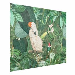Bilderwelten Alu Dibond Outdoor Bild Blumen gr&uuml;n Vintage wetterfest - Vintage Collage - Kakadu und Kolibri - Pflanzen Wohnzimmer Schlafzimmer