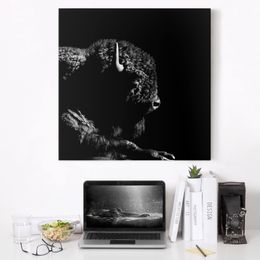 Bilderwelten Leinwandbild - Quadrat Bison vor Schwarz