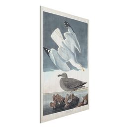 Alu Dibond Outdoor Bild - Vintage Lehrtafel Heringsm&ouml;we - Tiere blau Vintage wetterfest Retro Wohnzimmer Schlafzimmer