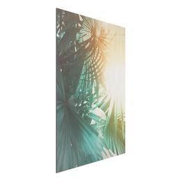 Alu Dibond Outdoor Bild - Tropische Pflanzen Palmen bei Sonnenuntergang - Natur t&uuml;rkis Tropisch wetterfest Palme Wohnzimmer Schlafzimmer
