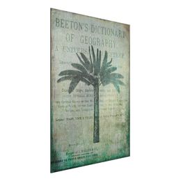 Bilderwelten Alu-Dibond Outdoor Bild Vintage Collage - Antike Palme