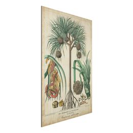 Bilderwelten Alu Dibond Outdoor Bild Natur gr&uuml;n Vintage wetterfest - Vintage Lehrtafel Exotische palmen I - Pflanzen Wohnzimmer Schlafzimmer