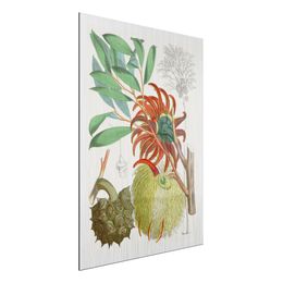 Bilderwelten Alu Dibond Outdoor Bild Blumen gr&uuml;n Vintage wetterfest - Vintage Illustration Tropische Bl&uuml;ten II - Pflanzen Wohnzimmer Schlafzimmer