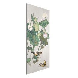 Bilderwelten Alu-Dibond Outdoor Bild Vintage Illustration Lotusbl&uuml;ten im Teich