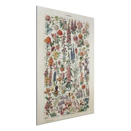 Bilderwelten Alu Dibond Outdoor Bild Blumen bunt Vintage wetterfest - Vintage Lehrtafel Blumen V - Retro Wohnzimmer Schlafzimmer