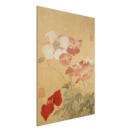 Bilderwelten Alu-Dibond Outdoor Bild Yun Shouping - Mohnblumen