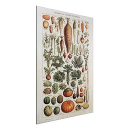 Bilderwelten Alu-Dibond Outdoor Bild Vintage Lehrtafel Gem&uuml;se