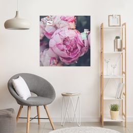Bilderwelten Glasbild Blumen Shabby rosa Glas Wandbild - Pfingstrosenbl&uuml;te Shabby - Rose Wohnzimmer Schlafzimmer